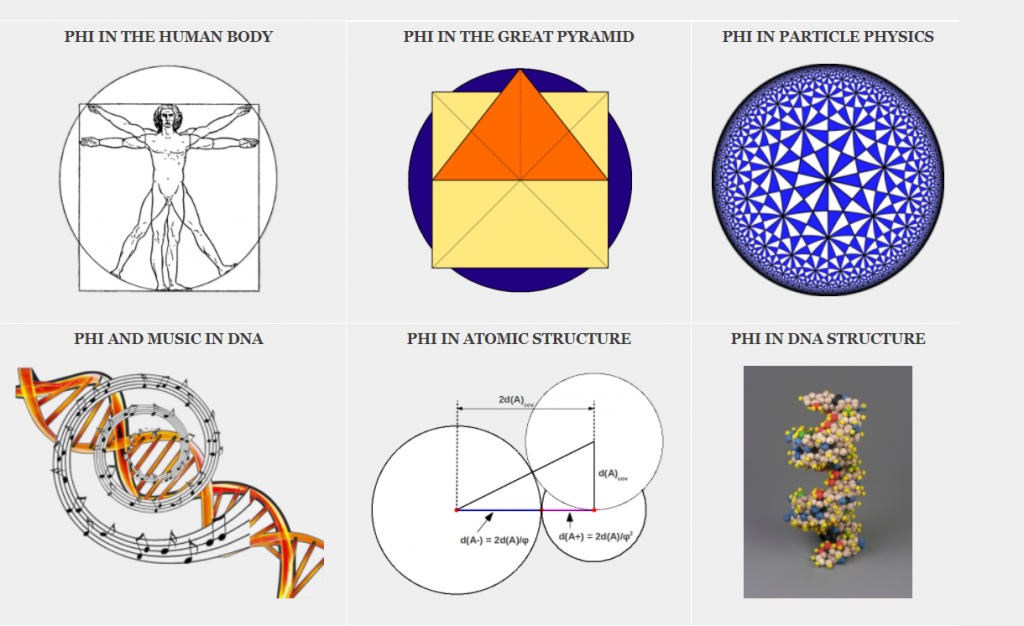 Golden Ratio in Life and Science – Becoming Borealis