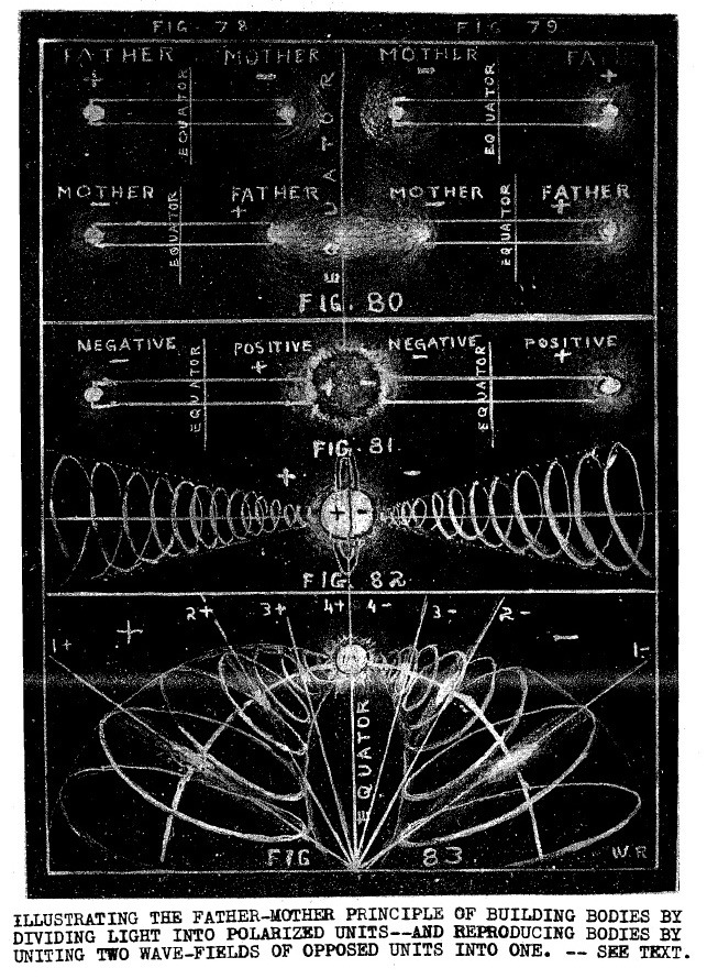 Terrence Howard’s All Shape Journal Notes – Current – Becoming Borealis
